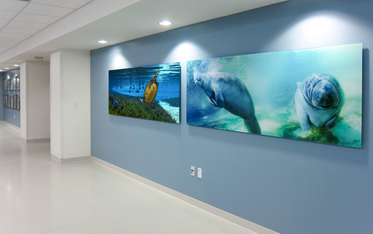 Solid Surface Art Prints | ARCH Design