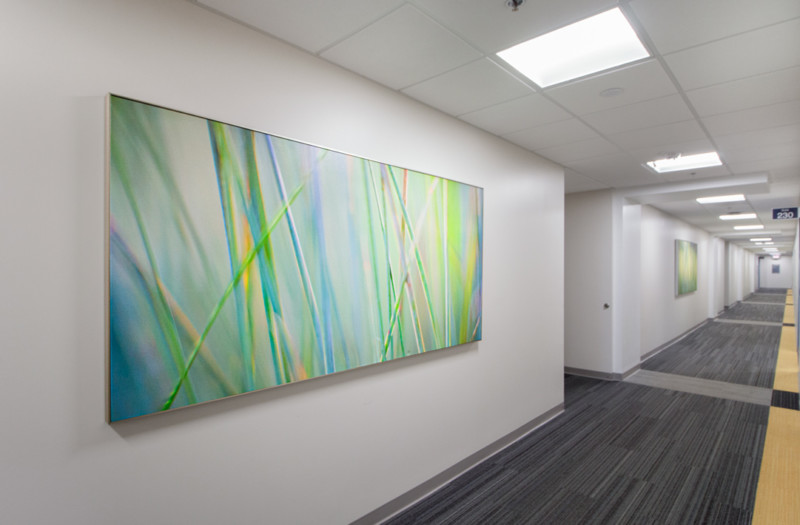 Memorial Hospital Shiloh | ARCH Design