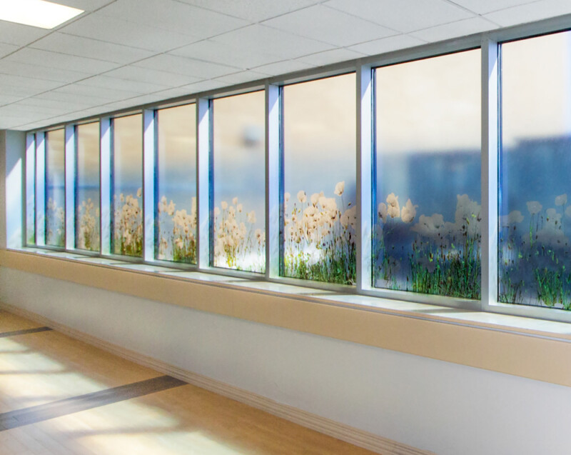 Wall & Window Graphics | ARCH Design